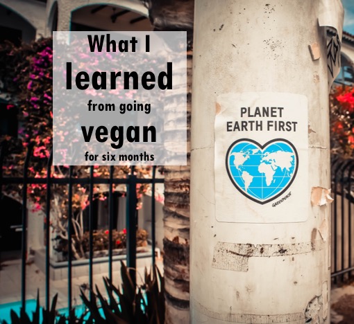 What I learned from going Vegan for six months